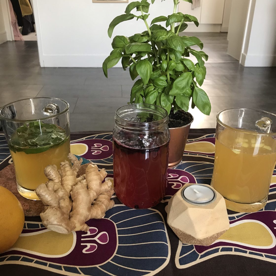 FAIRE SON KOMBUCHA MAISON (boisson pétillante) - Popo Fitness ...